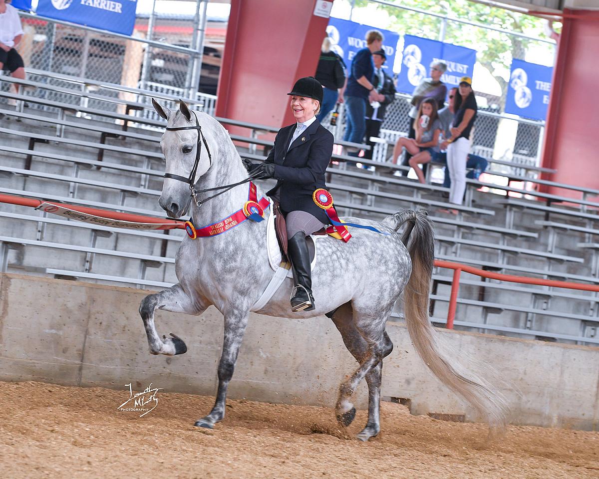 2017 Wisconsin Futurity Horse Festival - Horse Show Proofs - 2017 Shows ...