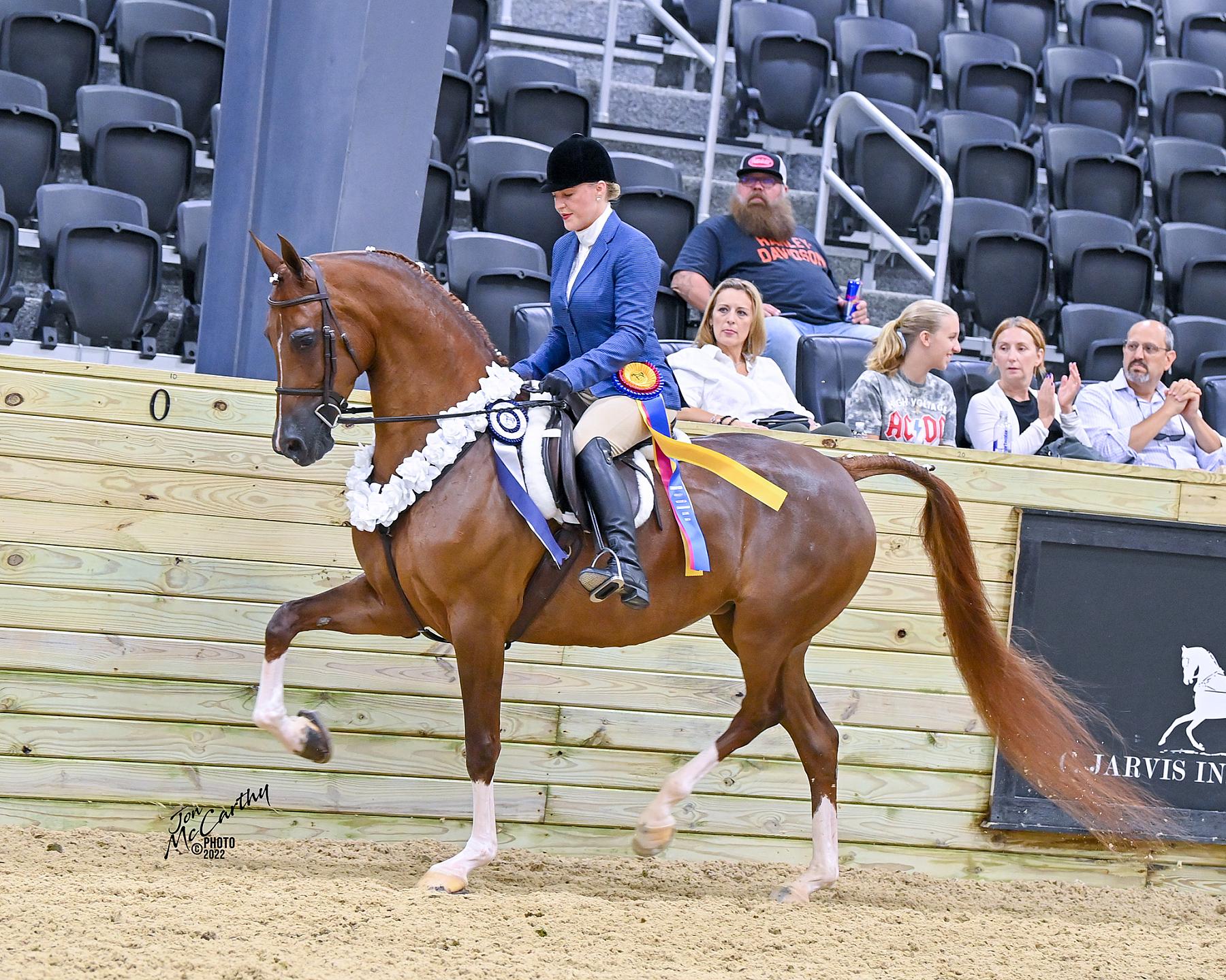 2022 Region 14 Championships - Horse Show Proofs - 2022 Horse Shows - jonmccarthyphoto.com