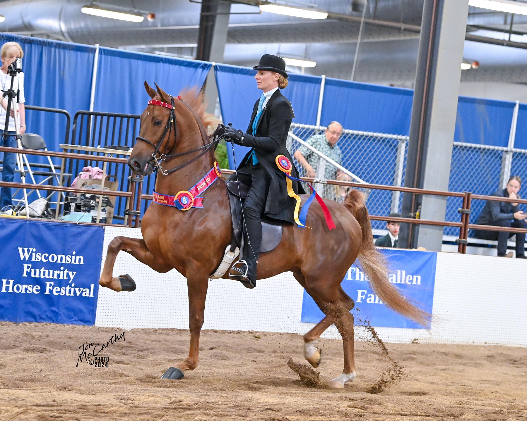 2024 Wisconsin Futurity Horse Show - Horse Show Proofs - 2024 Shows ...